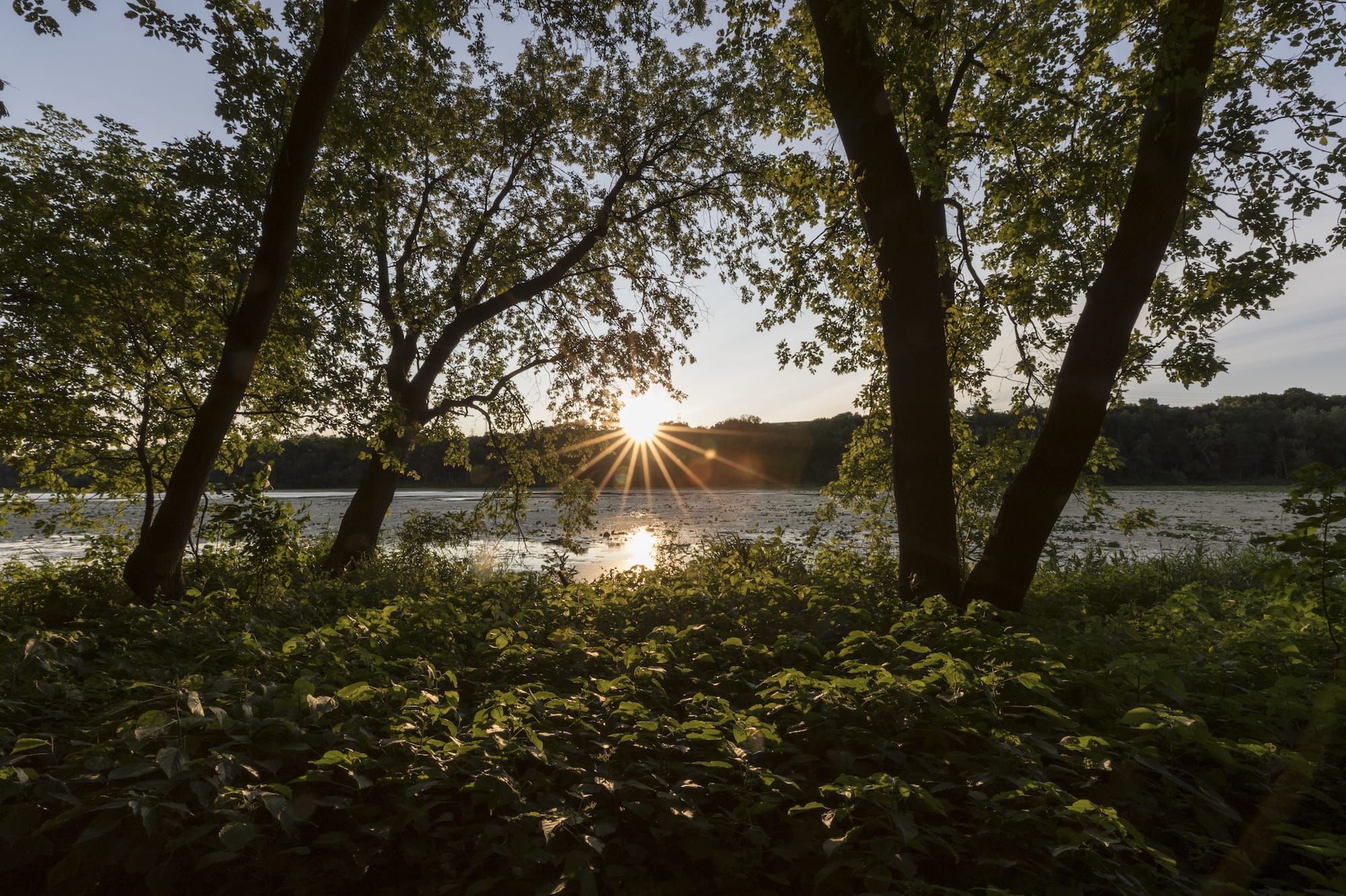 Crosby and Little Crosby Lakes - CRWD