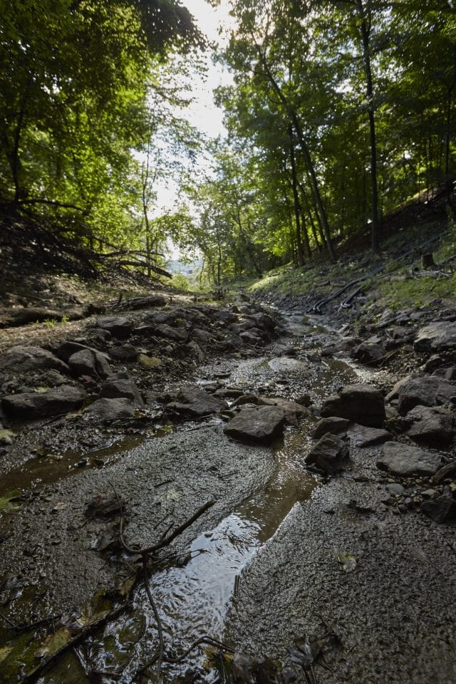 Highland Ravine Stabilization - CRWD