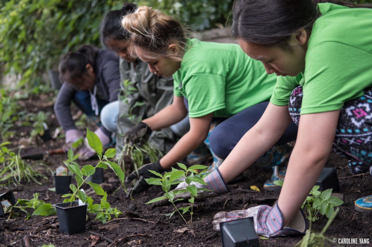 Clean Water Project Maintenance Grants - CRWD