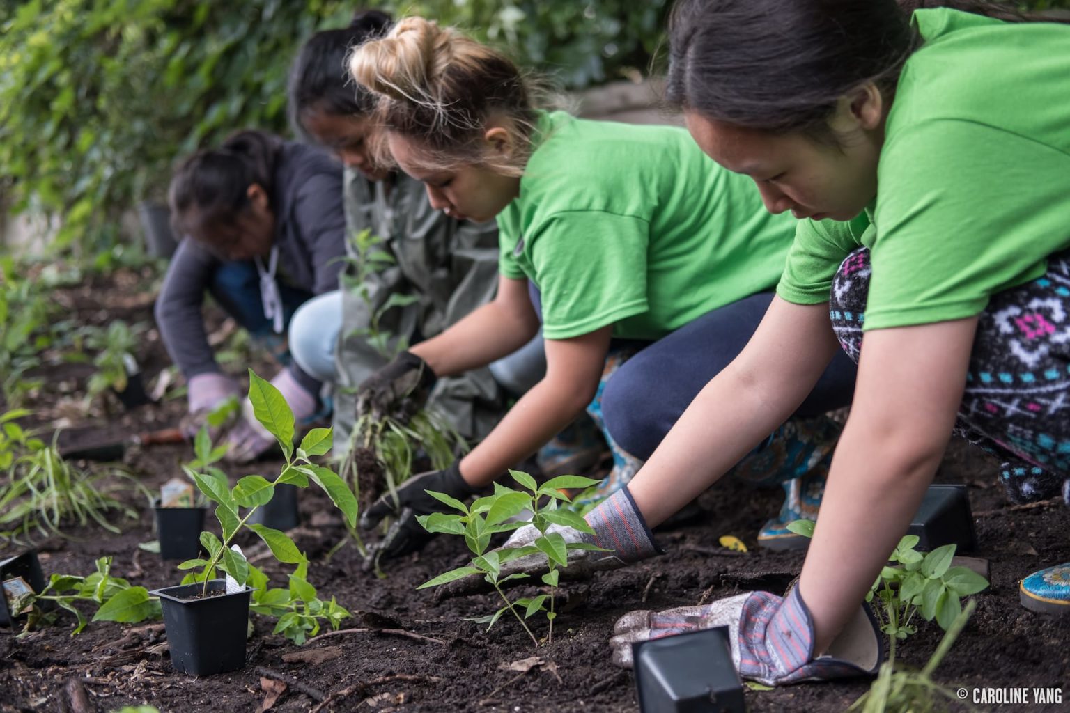 Clean Water Project Maintenance Grants - CRWD