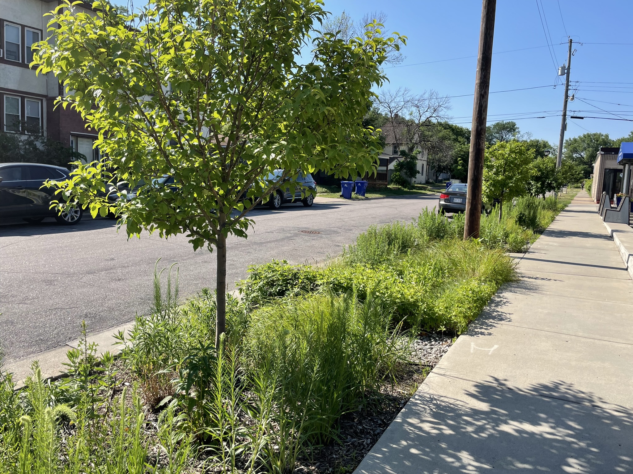 Boulevard Rain Garden Inspection Training - CRWD