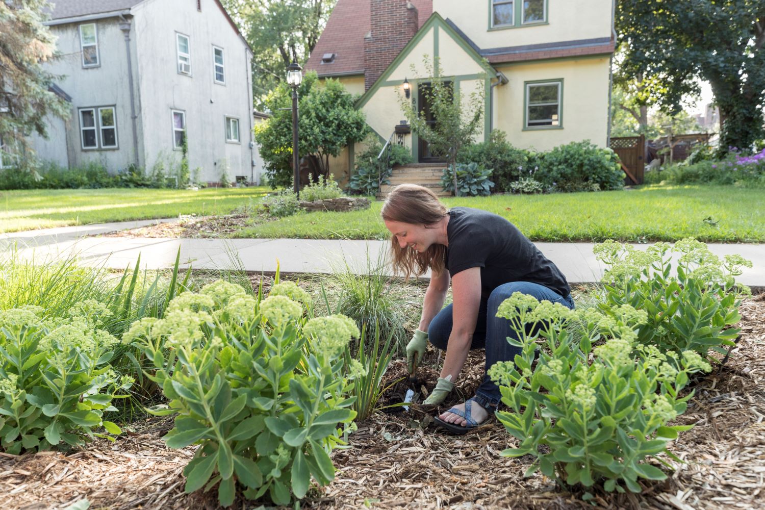 Spring 2024 Clean Water Projects Maintenance Tips - CRWD