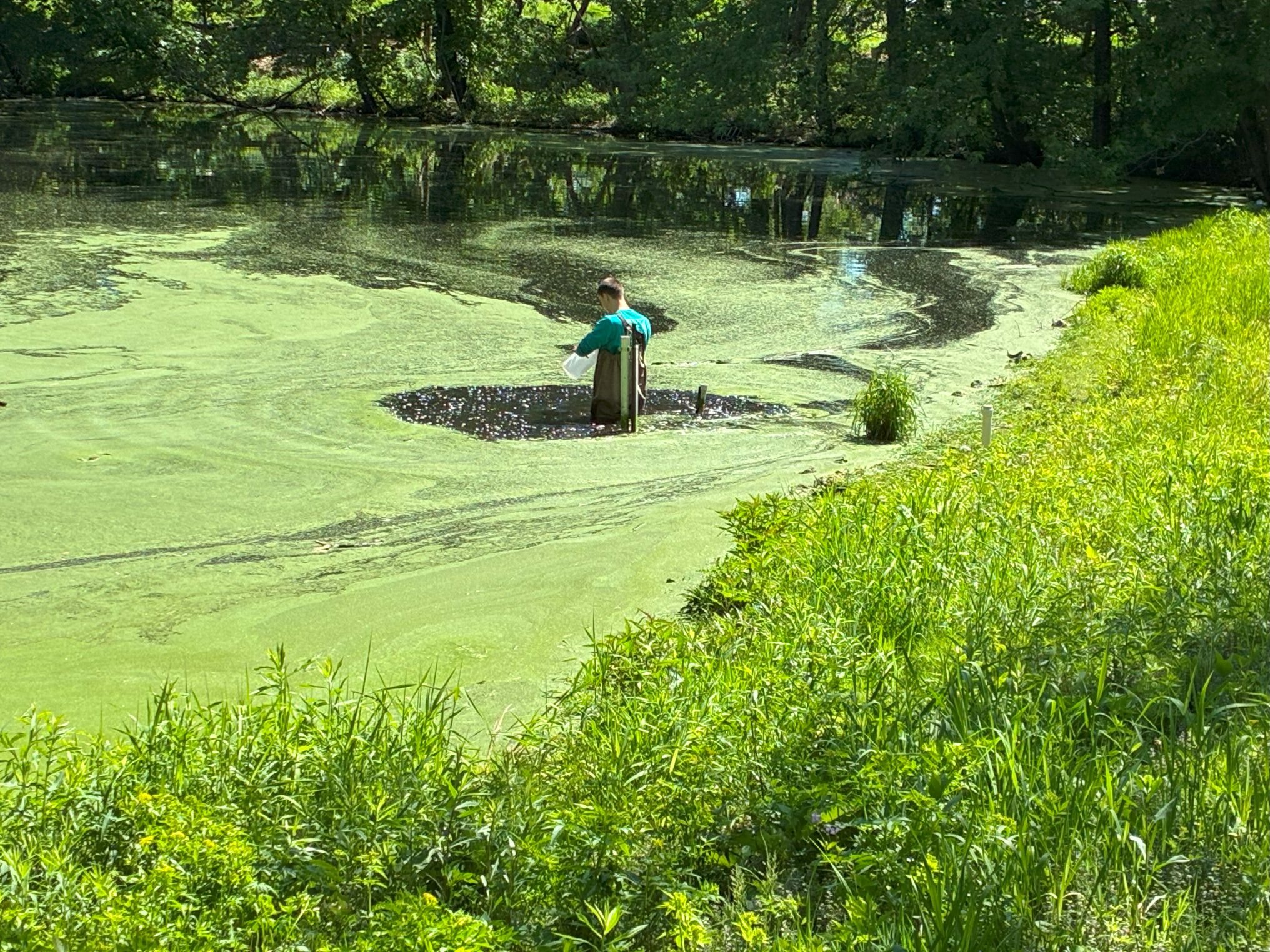 May 2025 Newsletter - CRWD